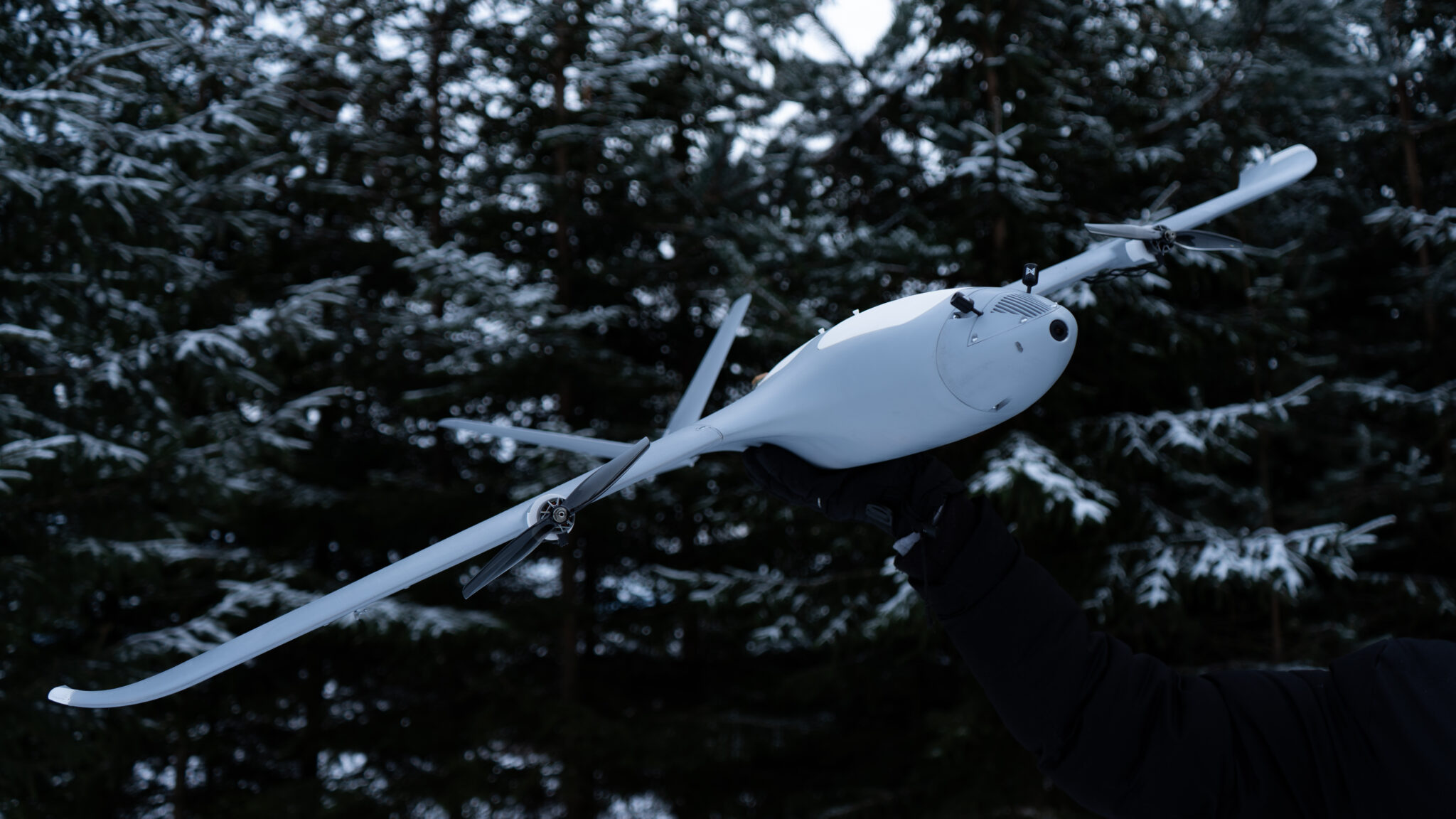 Stallion - Flightory