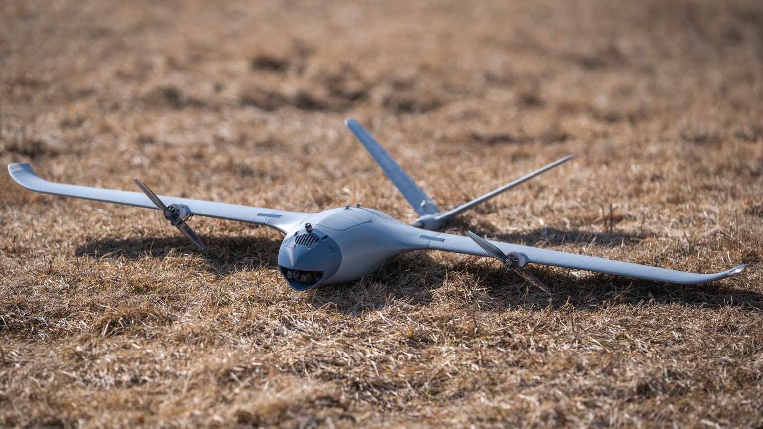 Stallion - Flightory